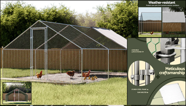 The Ultimate Guide to Choosing the Right Chicken Coop – Home My Garden