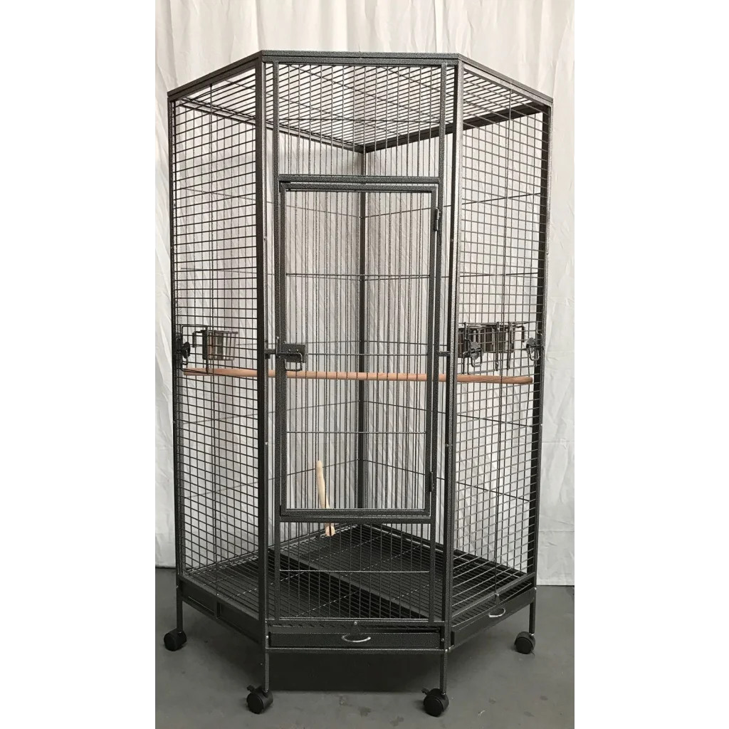 Where to Buy Bird Cages Why HomeMyGarden Should Be Your First Choice ...