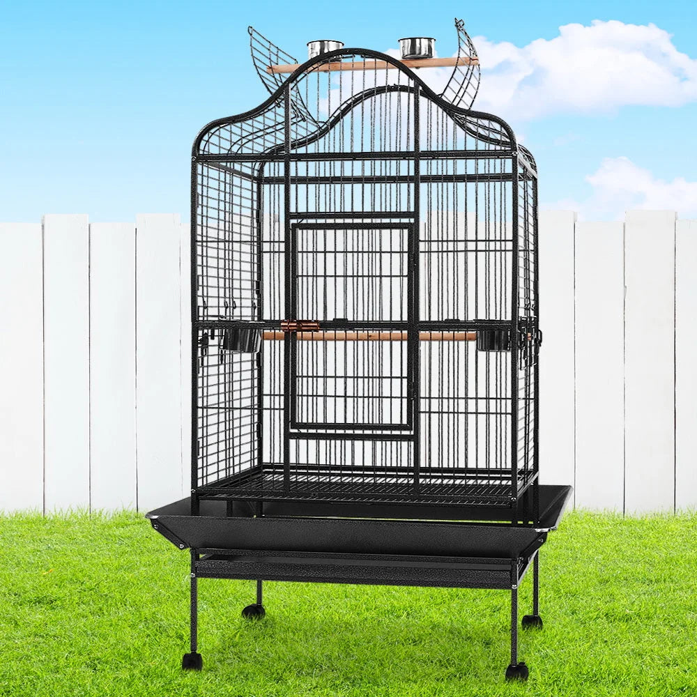 Where to Buy Bird Cages Why HomeMyGarden Should Be Your First Choice ...