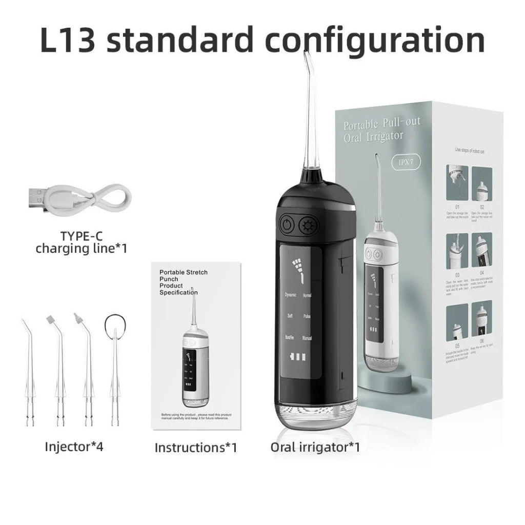 L13 Black Portable Electric Water Flosser - Handheld Teeth Cleaner, US ...